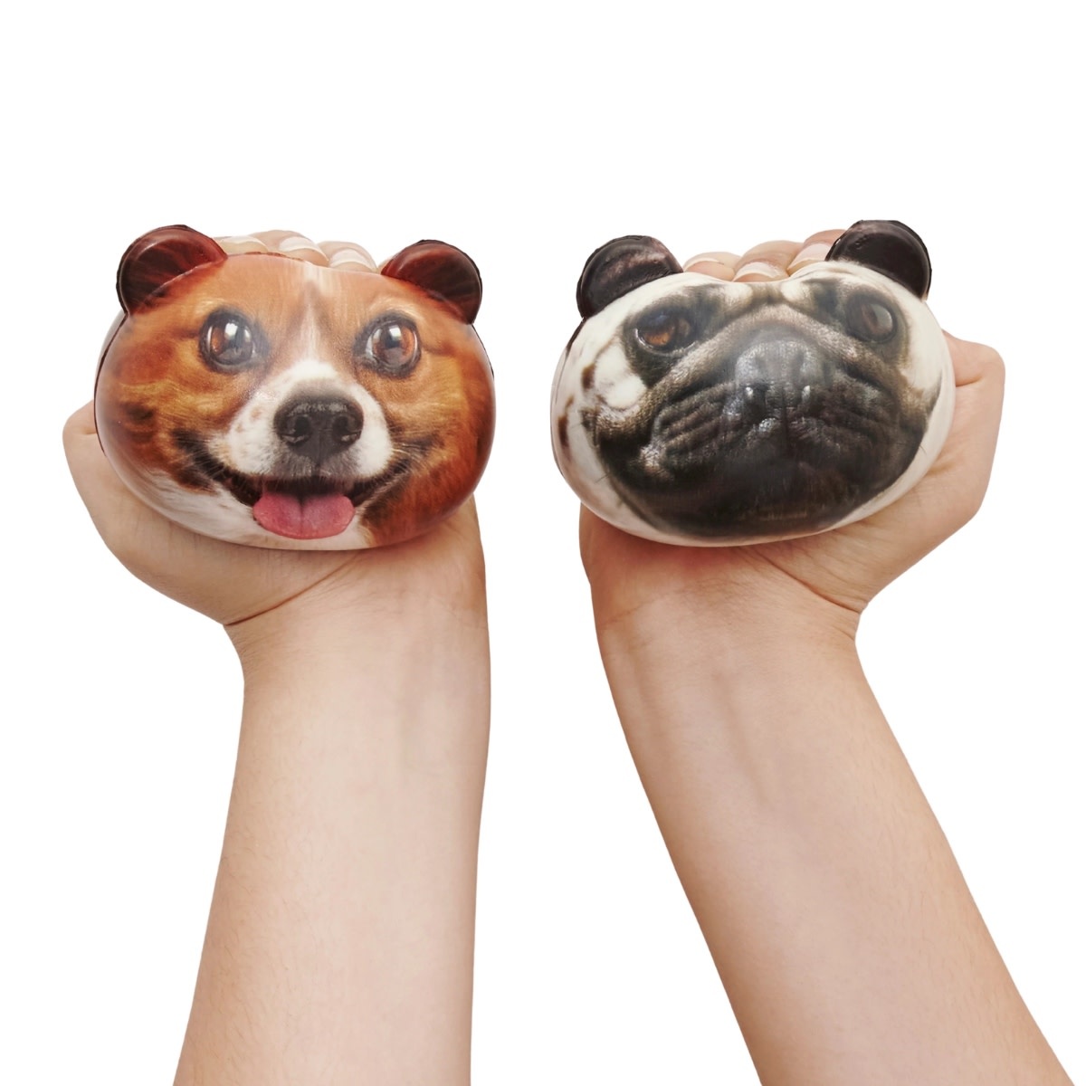 Feeling Ruff? Stress Ball - The Circle & The Circle Kids Whistler