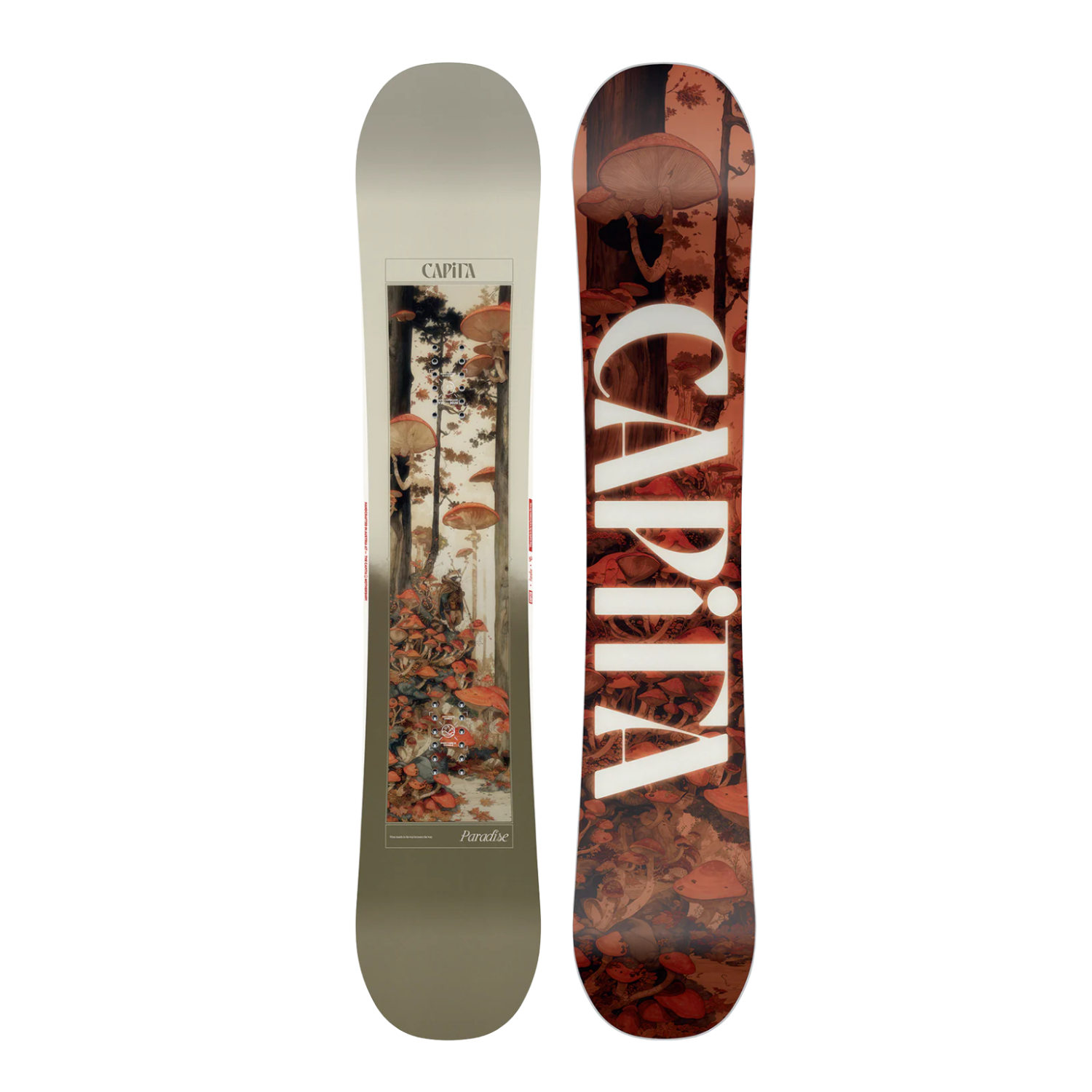 Paradise Snowboard 2026 - The Circle & The Circle Kids Whistler