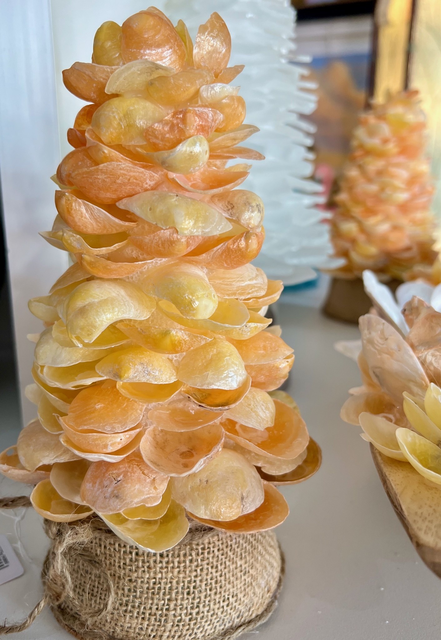 Peach Shell Tree, SUSM - Rare Earth Gallery