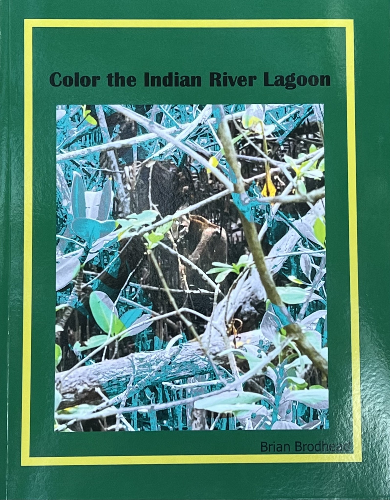 Brian Brodhead "Color the Indian River Lagoon," Coloring Book, BRIB ...
