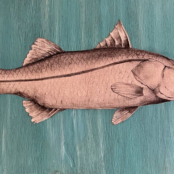 Molly Pearce - Rare Earth Gallery