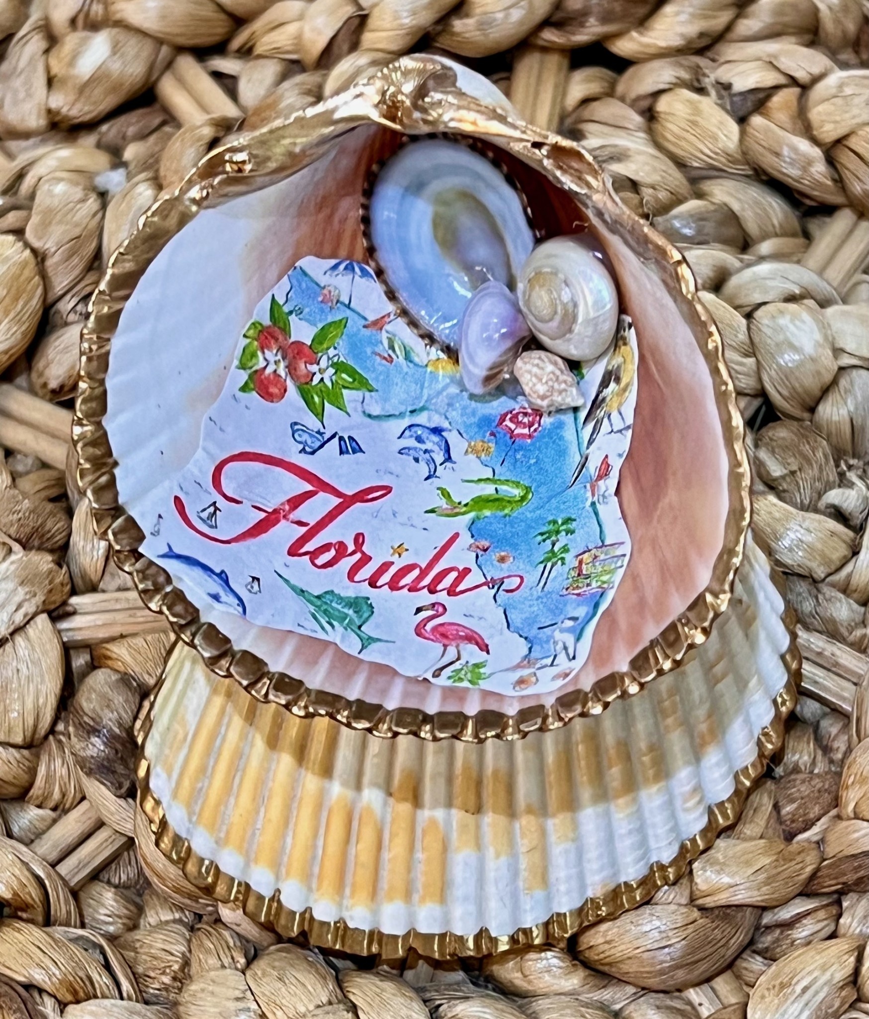 Pam Maschal Florida Cockle Shell Cups w/Florida shells collage, PAMM ...