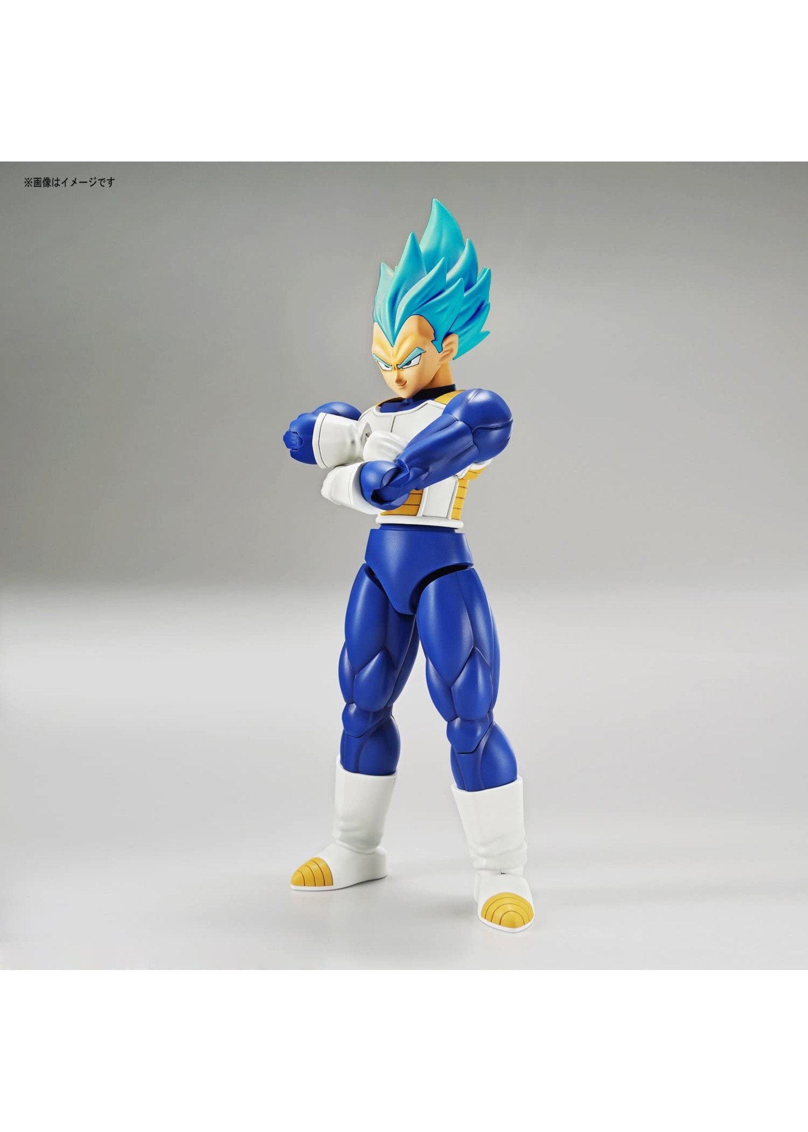 Super Saiyan 8 Vegeta