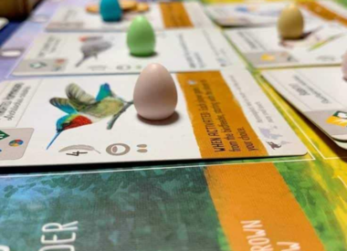 Hub Hobby - Hub Hobby