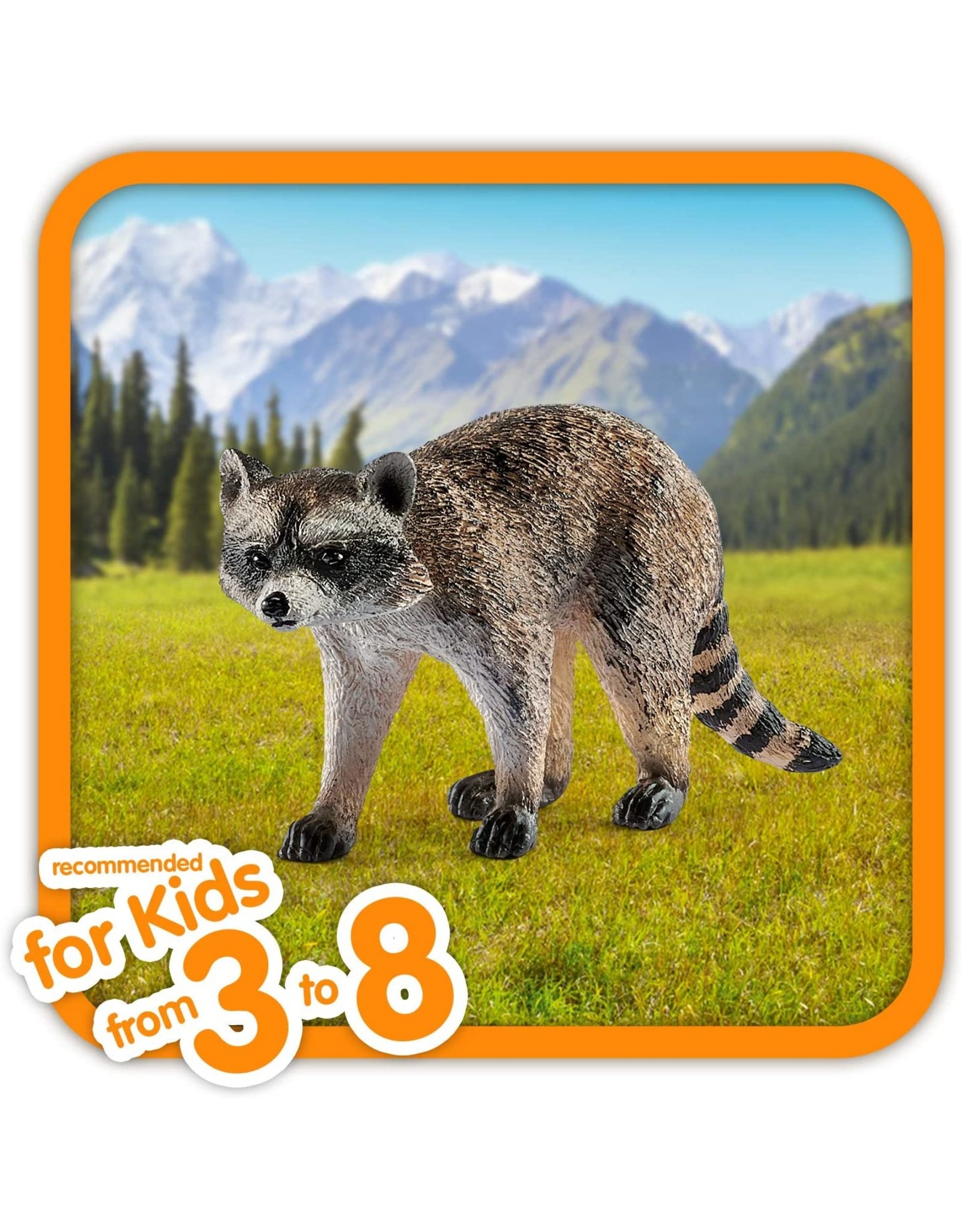 14828 - Raccoon - Hub Hobby
