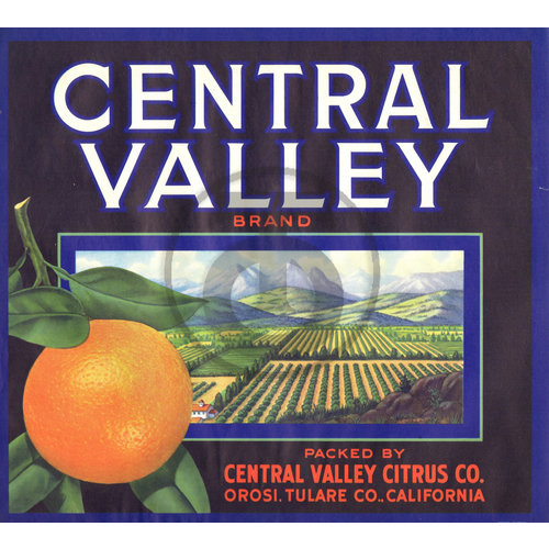 Treasures of Ojai - Treasures Of Ojai