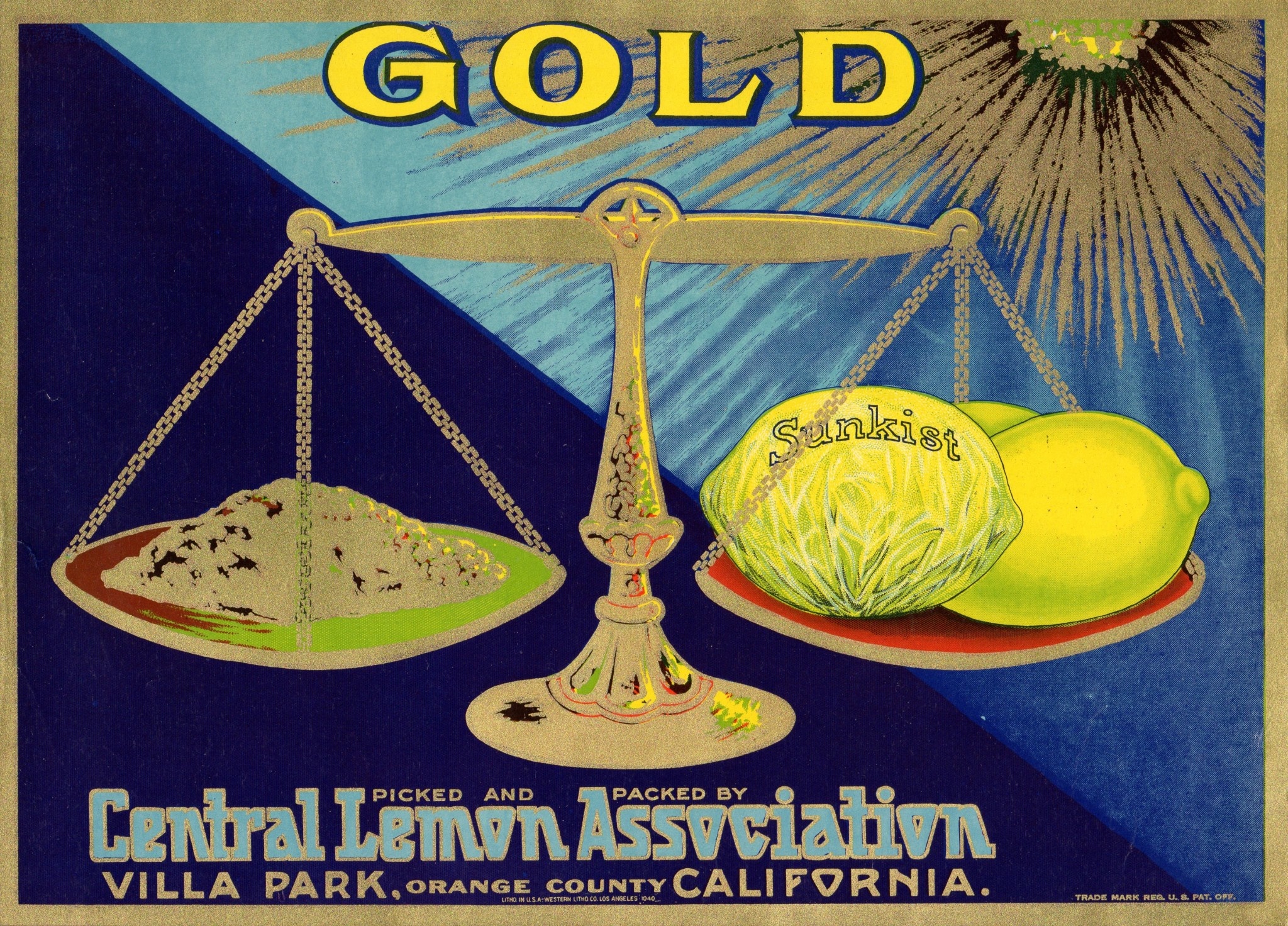 Gold Central Lemon - Treasures Of Ojai