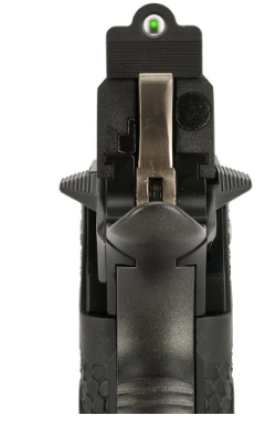 AW Custom HX22 "Gold Standard" IPSC Gas Blowback Airsoft Pistol (Color ...