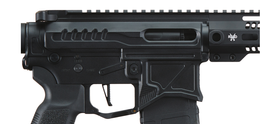 Zion Arms R15 Mod 0 Long Rail Airsoft Rifle with Delta Stock (Color ...