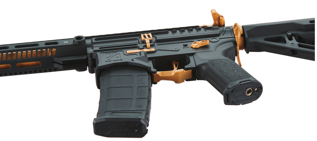 Zion Arms R15 Mod 1 Long Rail Airsoft Rifle with Delta Stock (Color ...