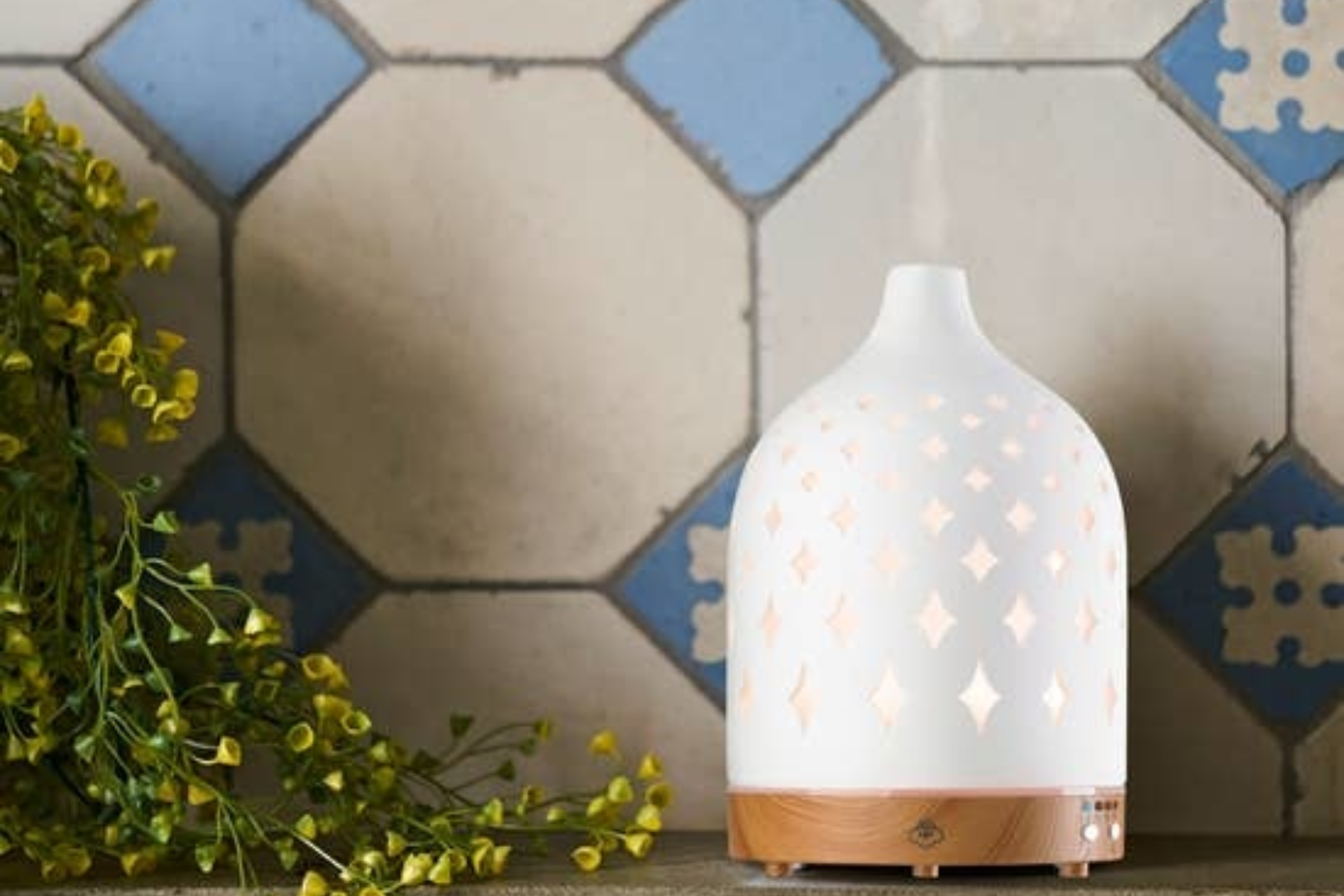 Essential Oil Diffusers: Benefits, How to Use Them, & More - Twisted ...