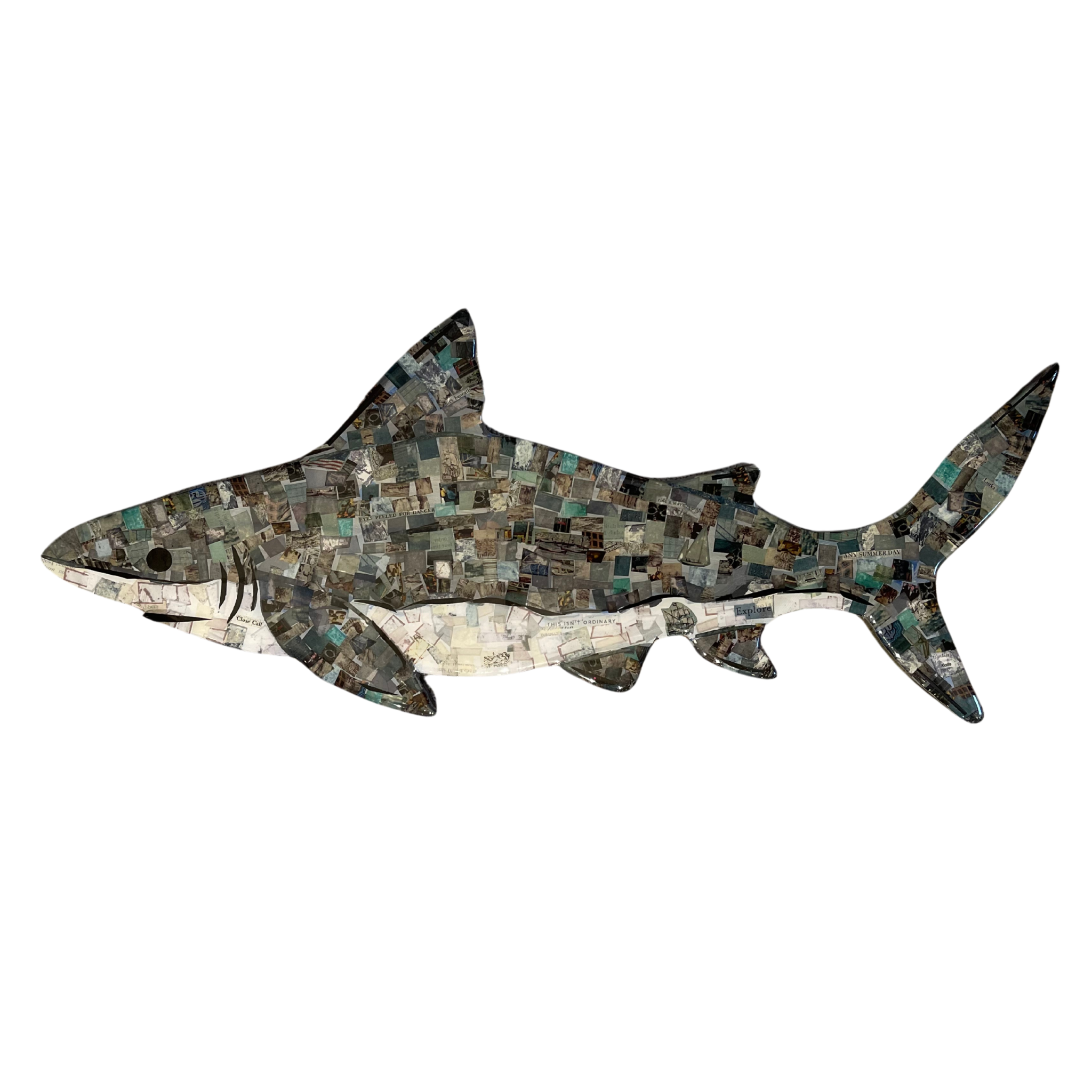 Cynthia Kolls Consignment Cynthia Kolls Little Shark Collage - Judy At ...
