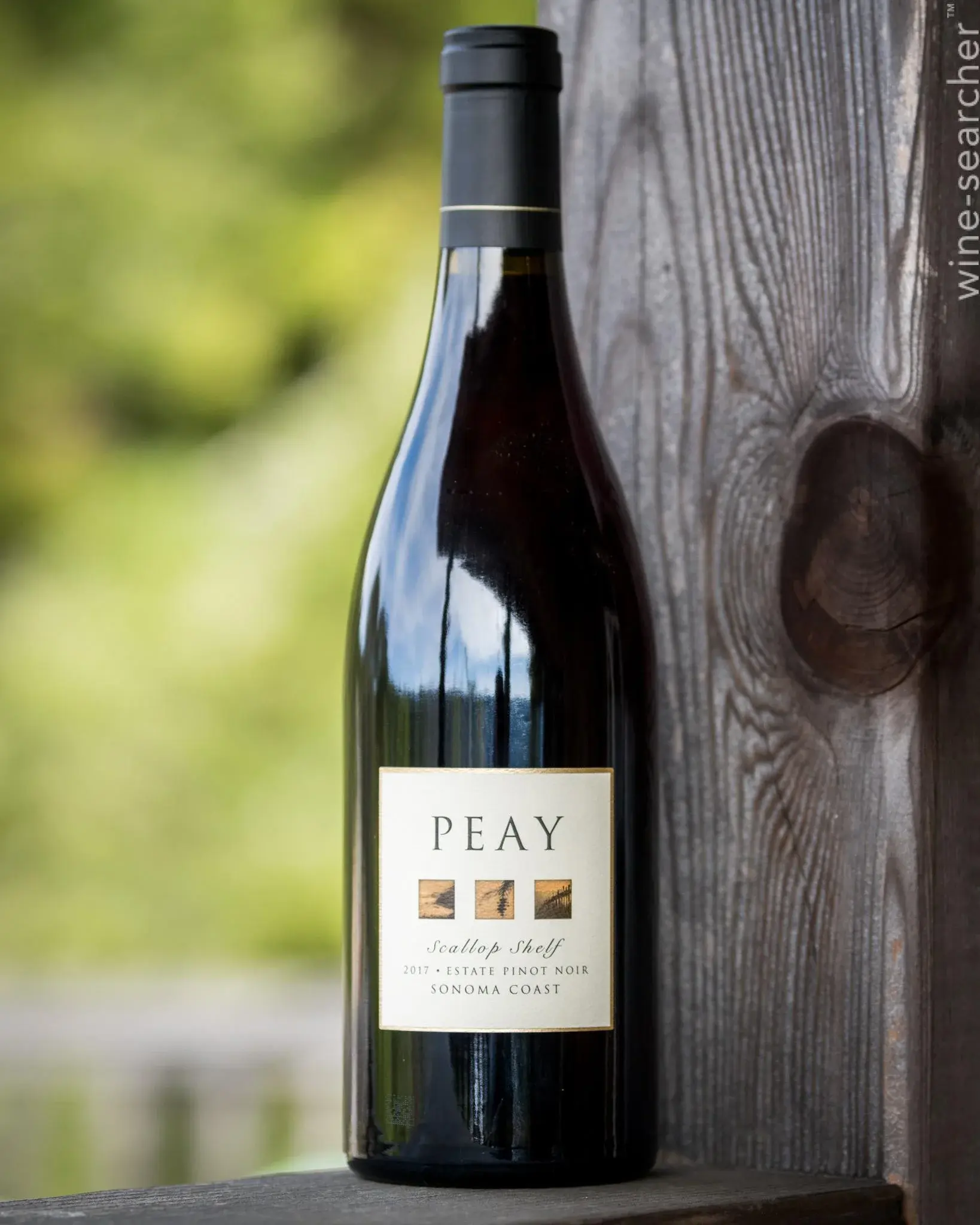 Pinot Noir, "Scallop Shelf" Peay Vineyards, Sonoma, CA, 2021 - Michael ...