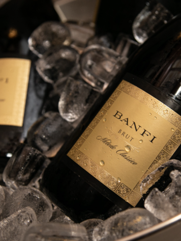 Bubbles - Michael's Wine Cellar