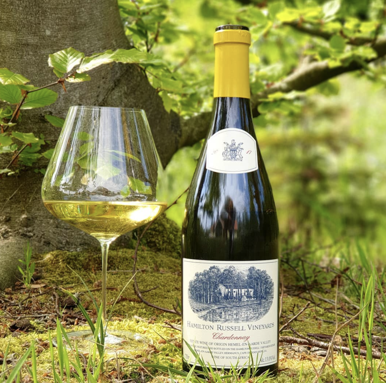 Hamilton Russell Vineyards, Chardonnay, Hemel-en-Aarde Valley, Michael ...
