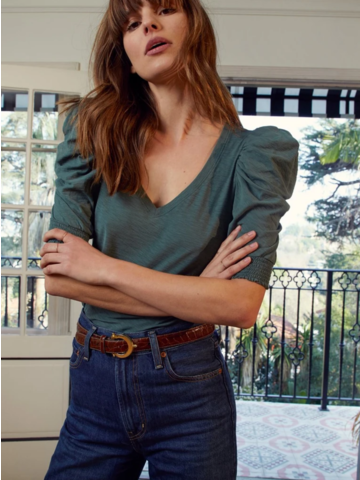 Collection - Tulips in Little Rock