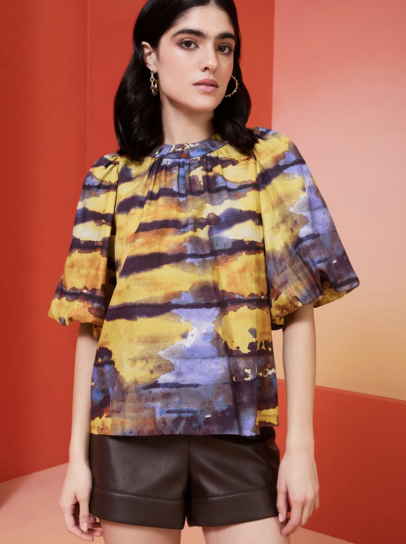 Tulips in Little Rock - Tulips in Little Rock