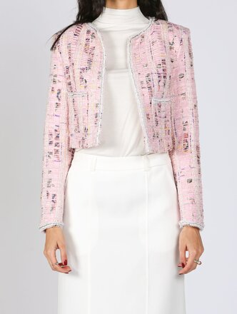 Final Sale - Tulips in Little Rock