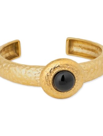 Tulips in Little Rock - Tulips in Little Rock