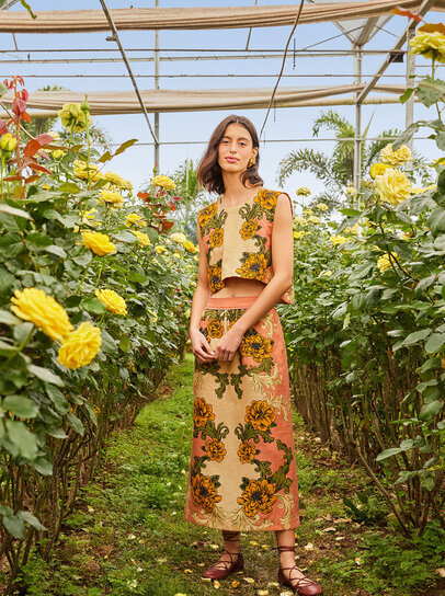 Tops - Tulips in Little Rock