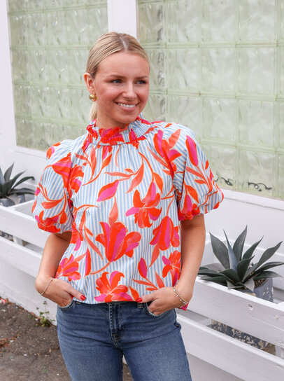 THML - Tulips in Little Rock