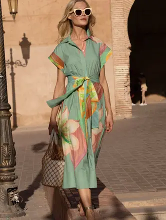 Oliphant - Tulips in Little Rock