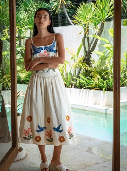 Tulips in Little Rock - Tulips in Little Rock