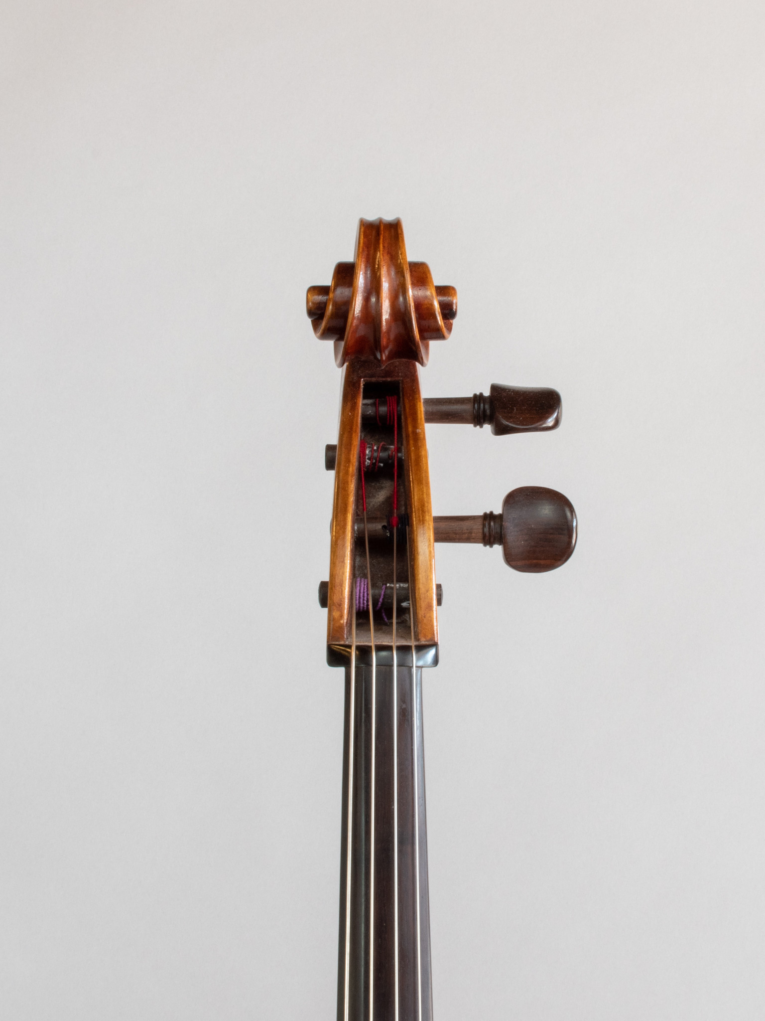 Unlabeled, fine modern cello in very good condition - Metzler Violin Shop