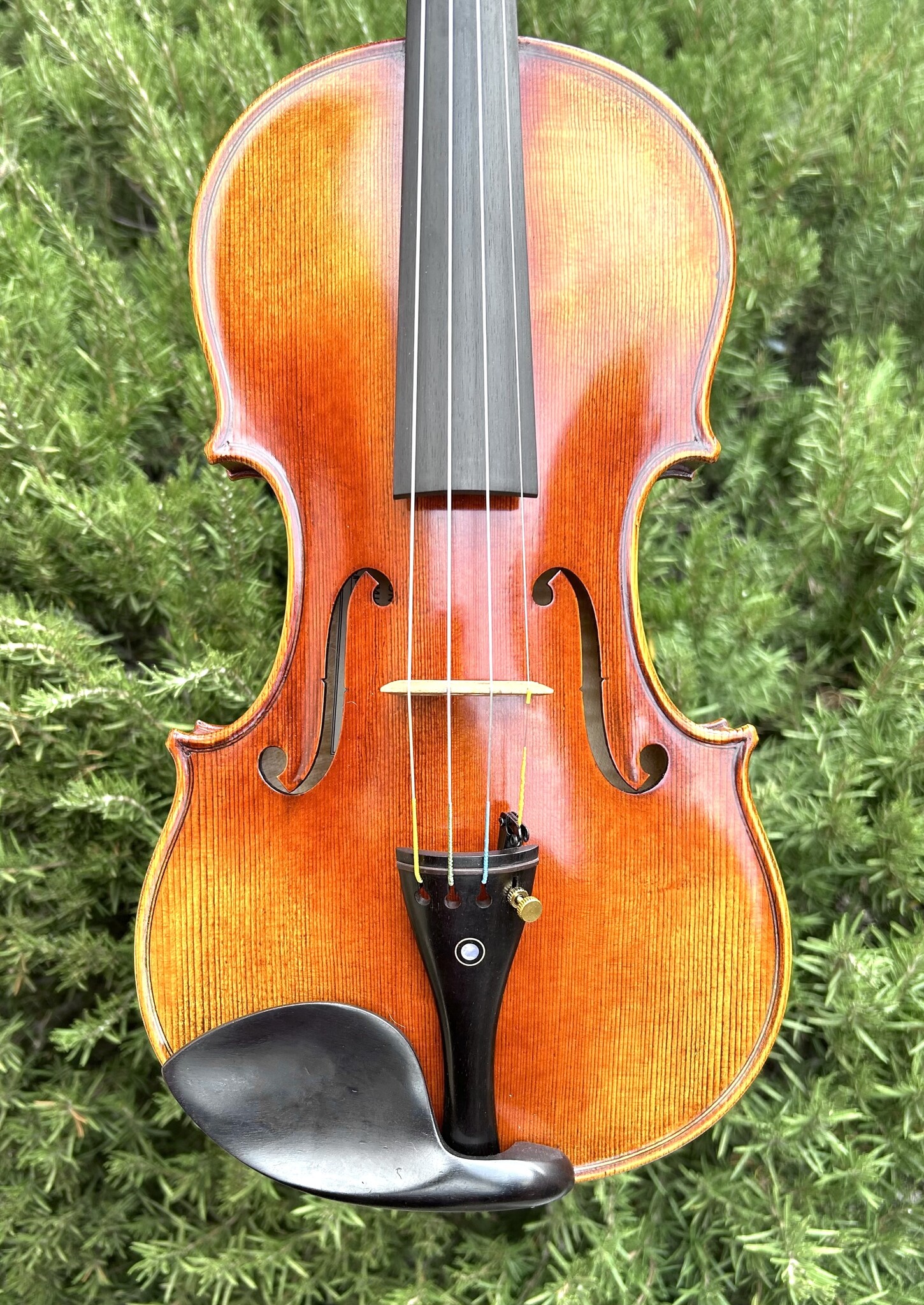Moon River 4/4 violin, model 200 | Metzler Violins - Metzler Violin Shop