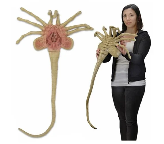 Aliens Facehugger 1:1 Scale Foam Life-Size Prop Replica - House of Boo