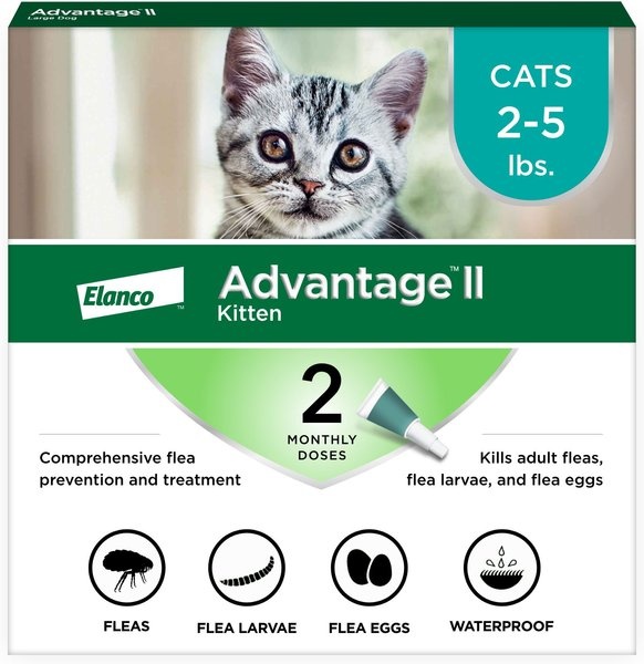 Bayer Advantage 2 - Tabby & Jack's Pet Supplies and Grooming