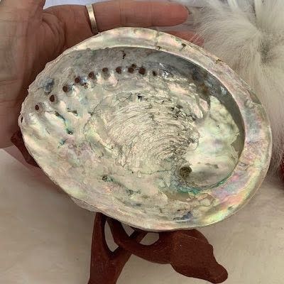 Abalone Shell ~ Large - Soul Food Crystals