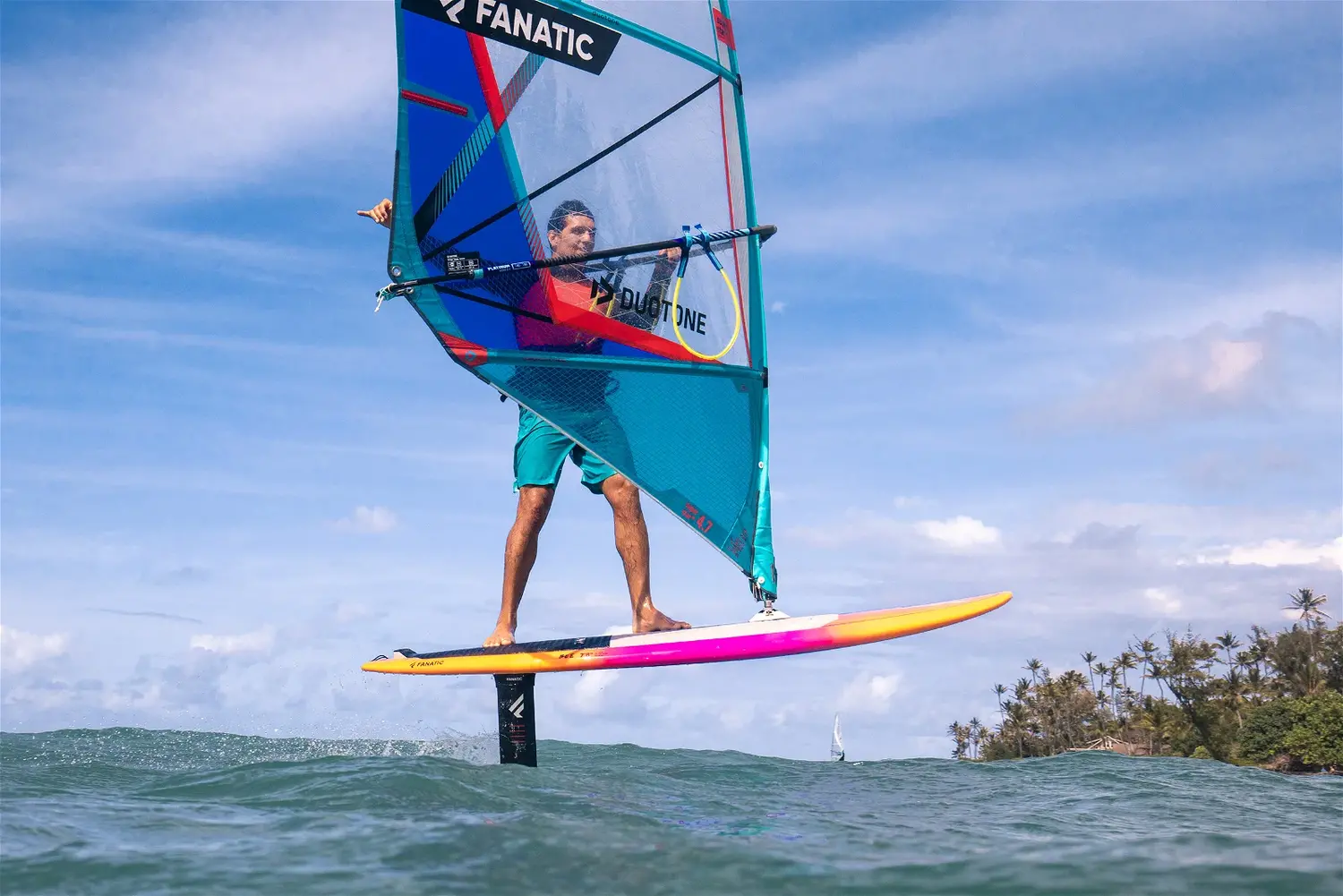 2025 Fanatic Bee - NorthLine Sports