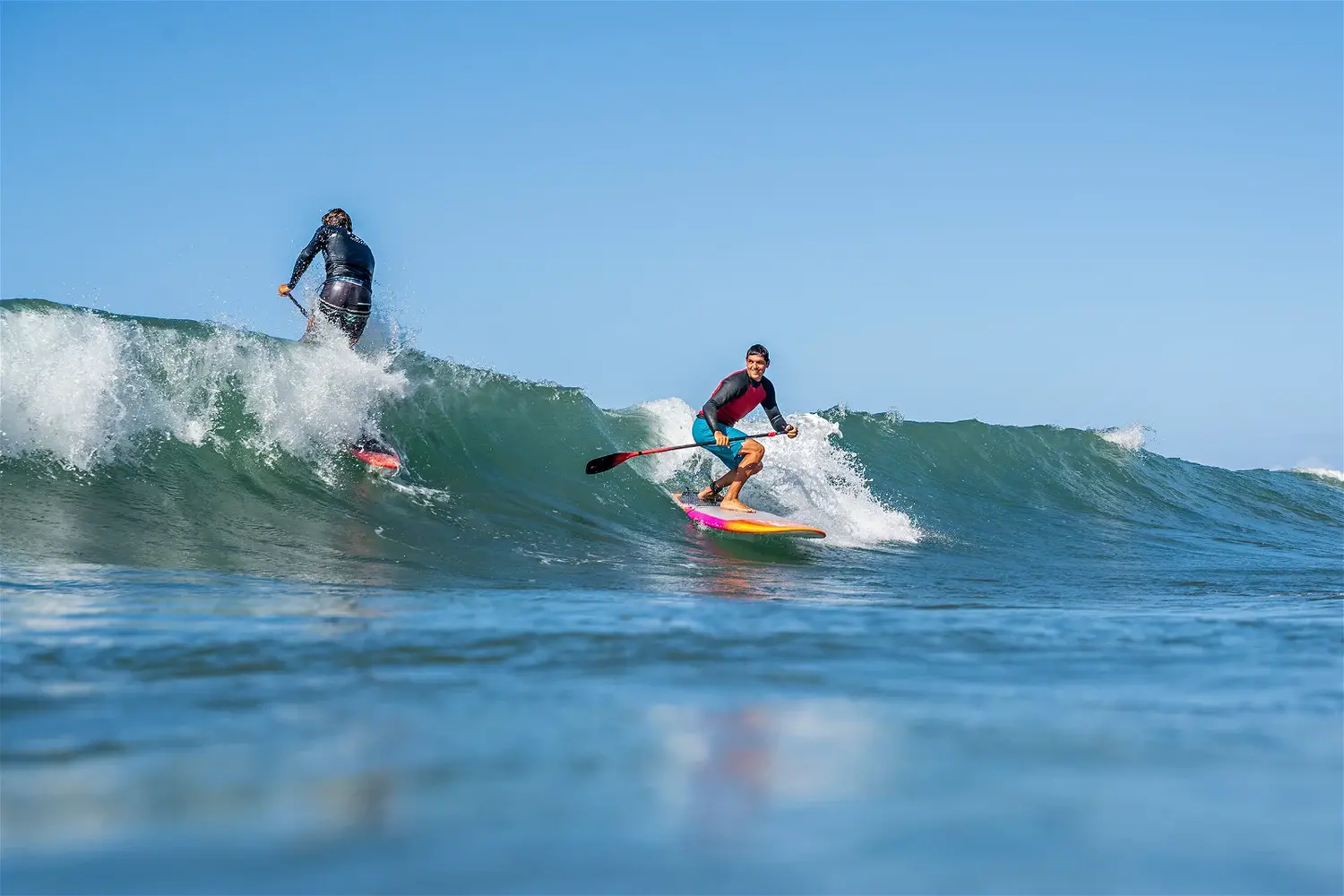 2025 Fanatic Bee - NorthLine Sports