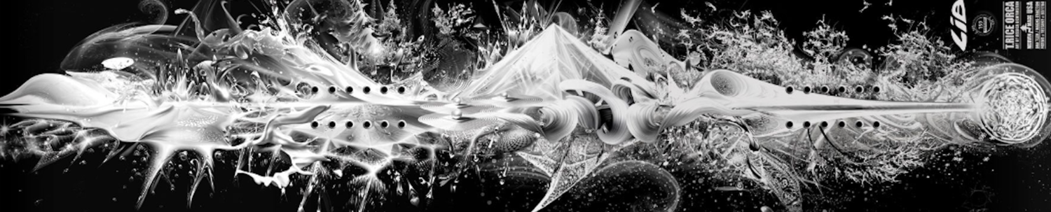 2025 Lib Tech T.Rice Orca - NorthLine Sports