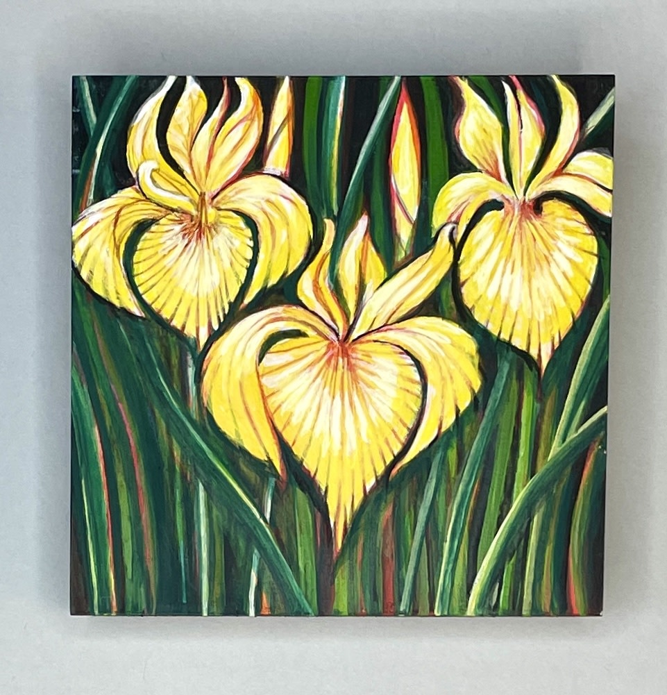 Yellow Iris | Alice Tersteeg - Annie Kaill’s