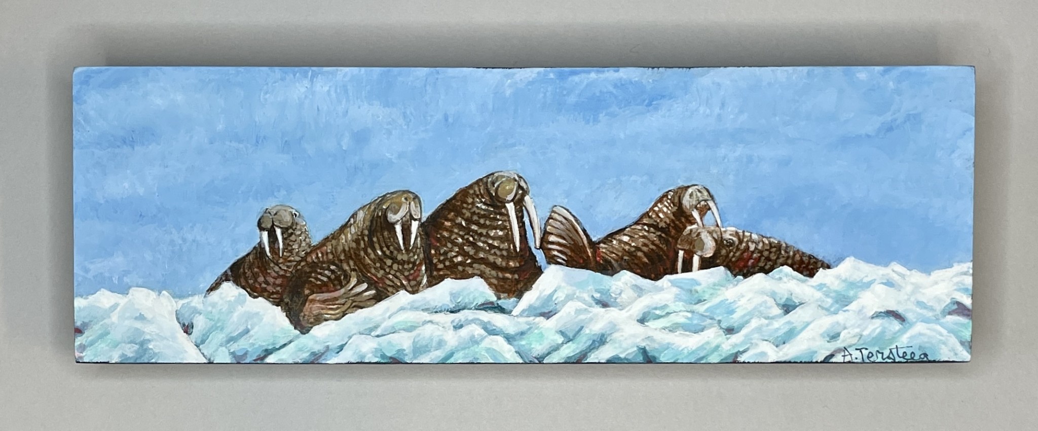 Walrus | Alice Tersteeg - Annie Kaill’s