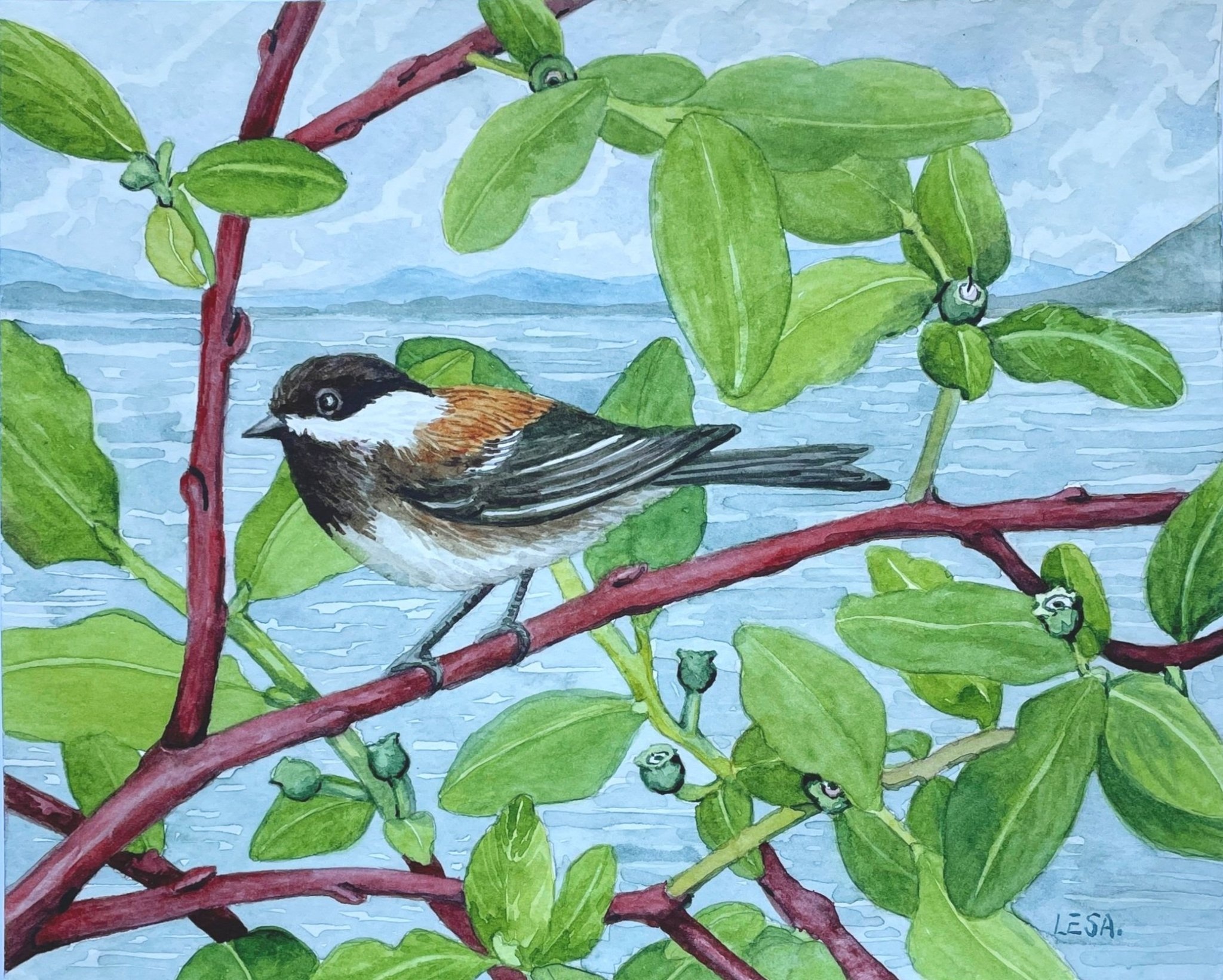 Huckleberry Chickadee | Lisa Schramek - Annie Kaill’s