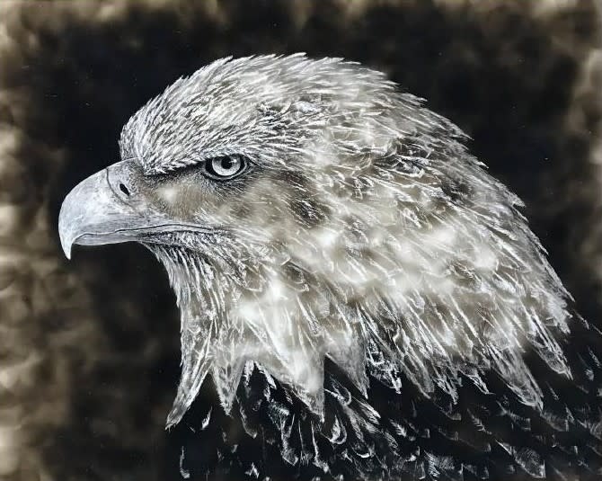 Eagle Eye | Dillon Sprague - Annie Kaill’s