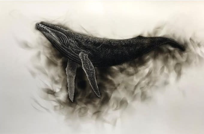 Humpback Whale | Dillon Sprague - Annie Kaill’s