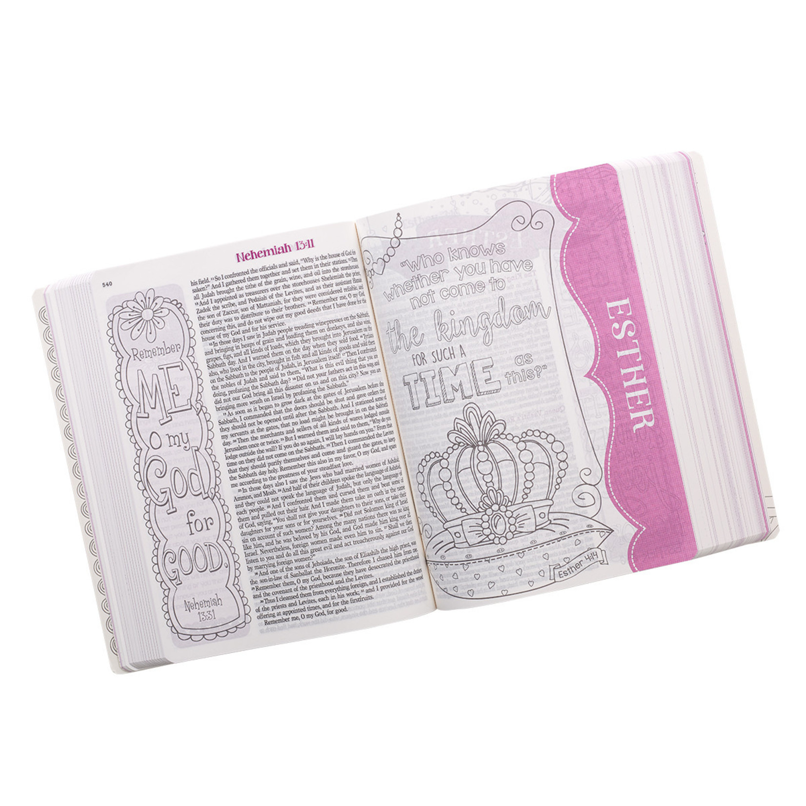 Pink Flexcover My Creative Bible for Girls - ESV Journaling Bible - 天道 ...