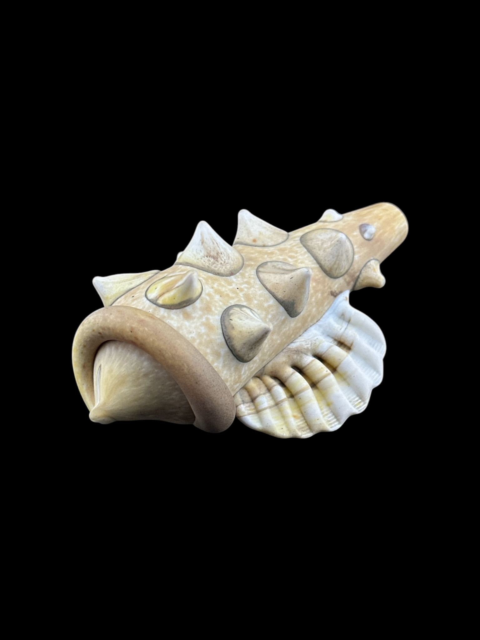 Seashell Sandblasted White pipe - Borosyndicate