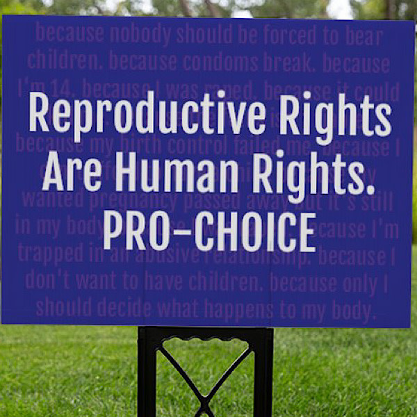 Sign (Yard) - Reproductive Rights Are Human Rights. Pro-Choice - Bad Annies