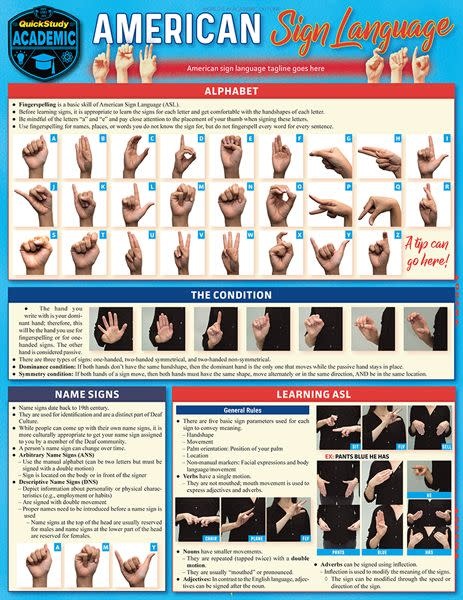 QuickStudy QuickStudy | AMERICAN SIGN LANGUAGE [238584] - School ...