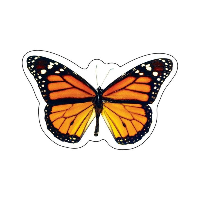 Trend Enterprises Mini Monarch Butterfly Mini Accent [T10578] (D ...