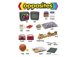 Trend Enterprises OPPOSITES CHART - School & Office Annex