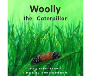 READING READING BOOKS Woolly the Caterpillar - Single Copy - School ...
