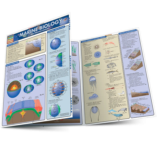 QuickStudy QuickStudy | Marine Biology [225824] - School & Office Annex