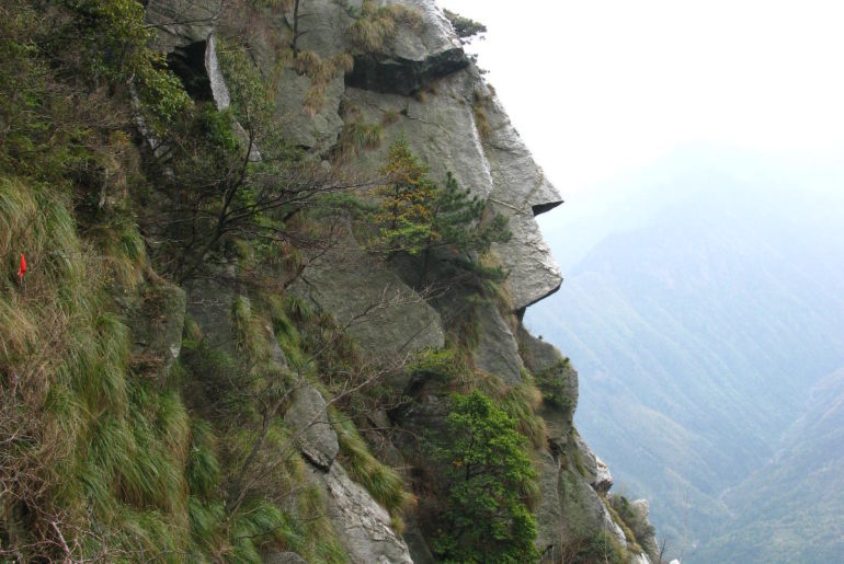 Lu Shan Clouds and Mist - Teance Fine Teas