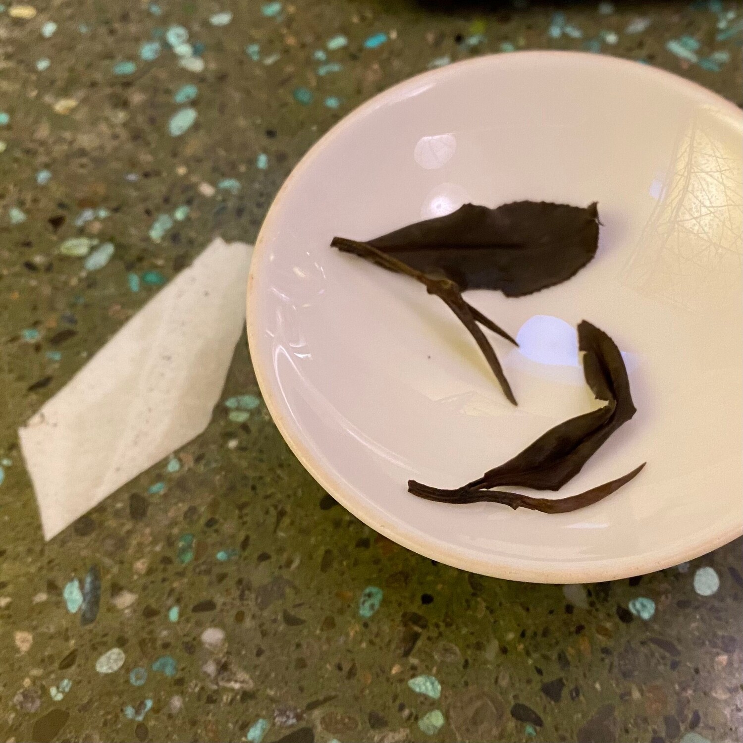 Shan Lin Xi High Mountain Zheng Shan Bai Cha - Teance Fine Teas